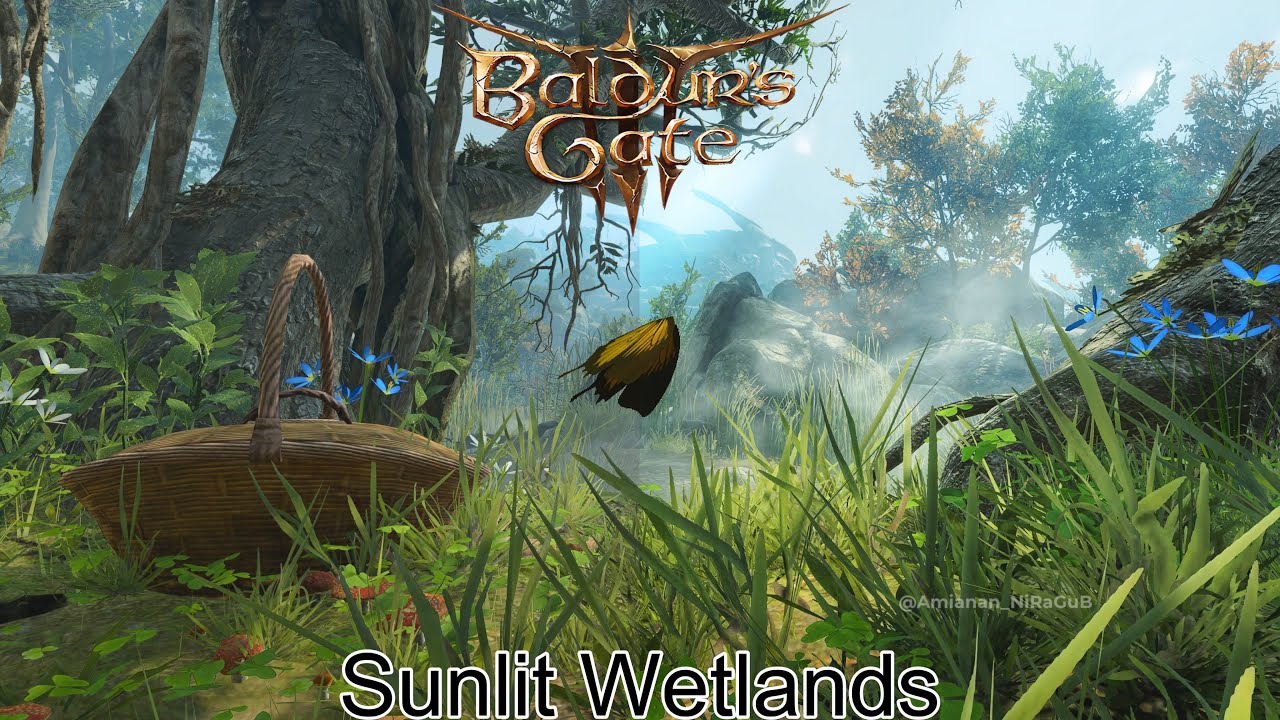 Before and After Photo Edit: Sunlit Wetlands | Baldur's Gate 3 - YouTube