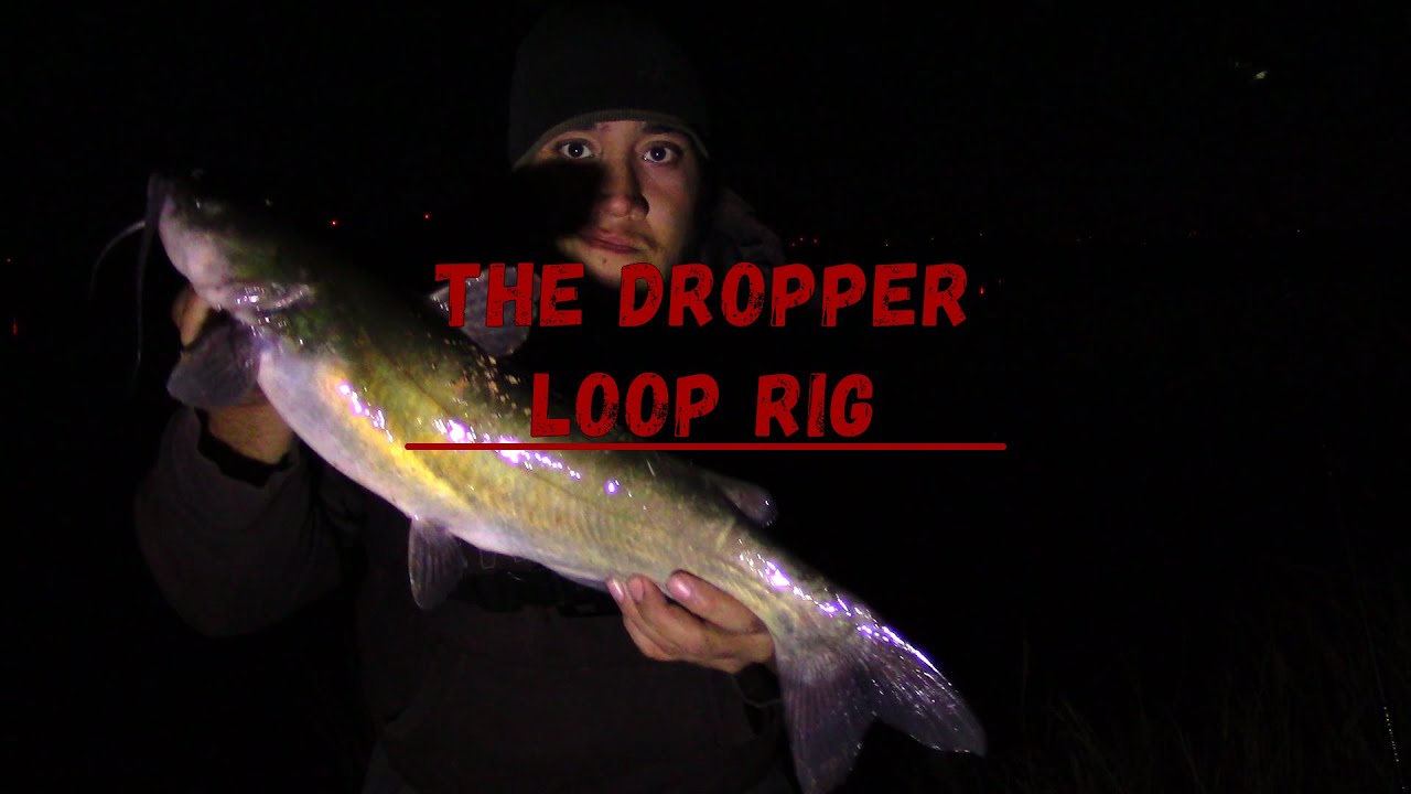 The Dropper Loop Knot Rig - YouTube