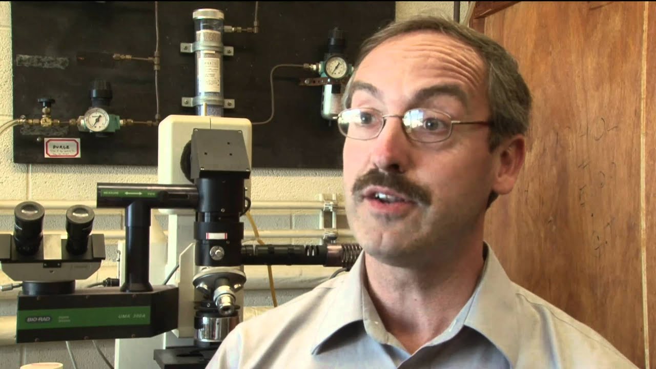 Wayne Jones Sizzle of Science for the National Science Foundation - YouTube