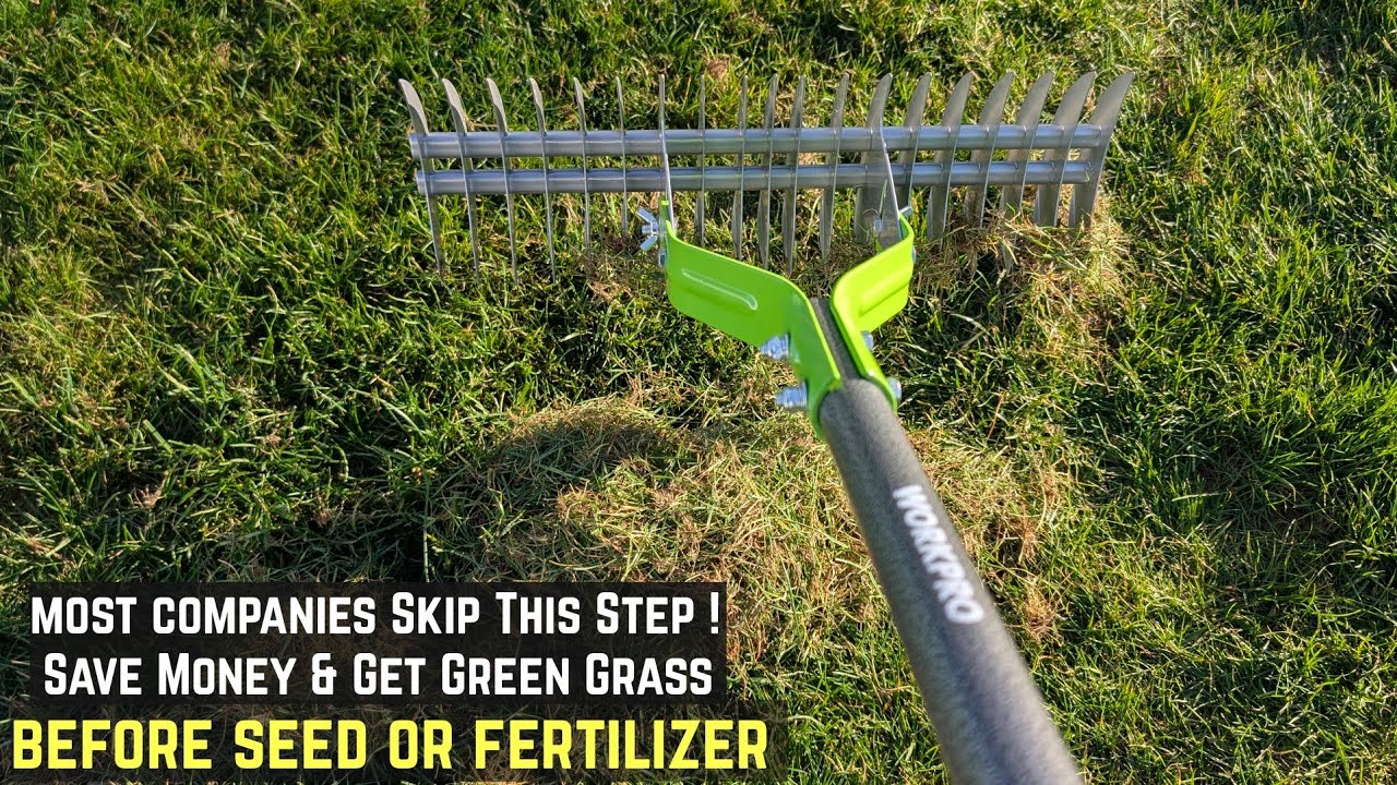 Best Thatch Rake | Removing Dead Grass and Clippings, Loosening Soil ...