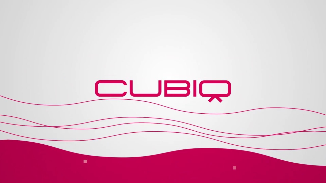 CubiQ Line - The best 3D conveyor belt measurement assistant for your ...