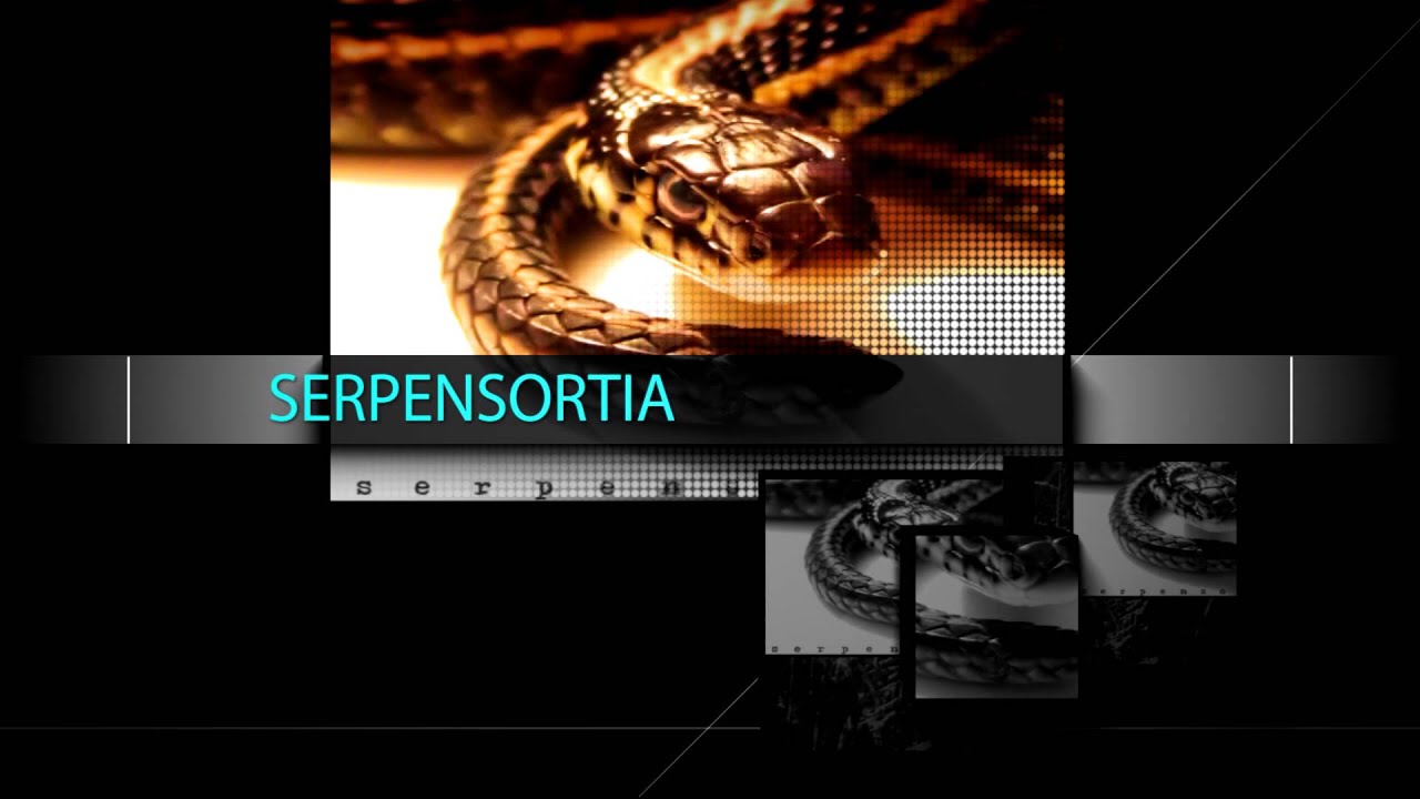 Serpensortia - SRM - Milan'14 Teaser - YouTube