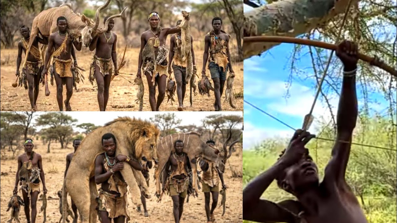 African life | Wilde life | Lion attack - YouTube