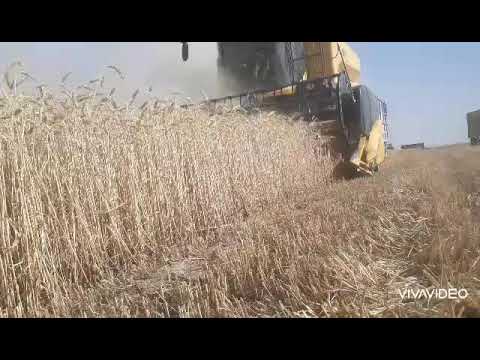 Biçerdöver tiktok videoları