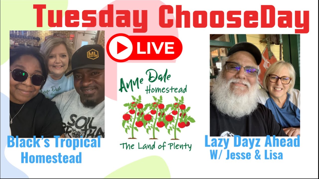 Tuesday ChooseDay #cherishthistime - YouTube