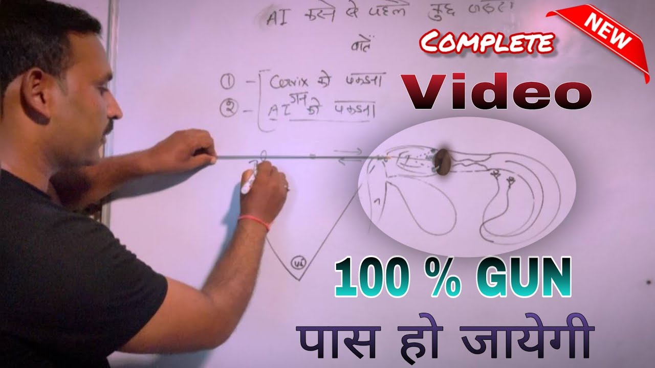 New inseminator उपयोगी वीडियो /कृत्रिम गर्भाधान/Learn Artificial ...