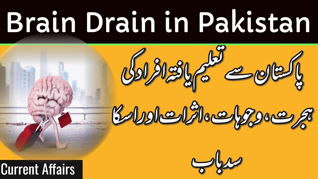What Is Brain Drain It s Causes And Implications For A Country Ref To What Is Brain Drain It s Causes And Implications For A Country Ref To