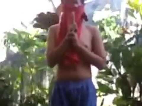 ANAK MAHO
