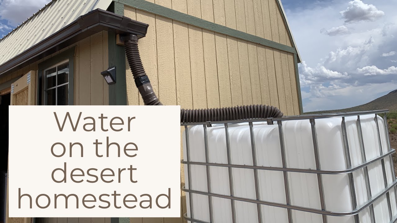 How We Get Water On Our Desert Homestead With No Well [Prep 365: EP121 ...