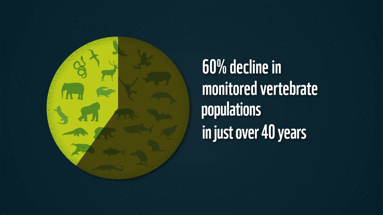 The Great Acceleration - YouTube