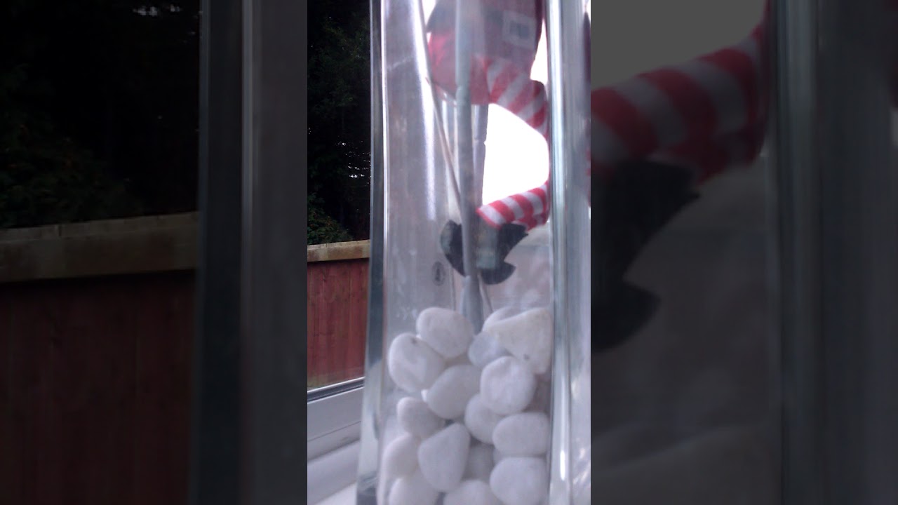 Elf on the shelf! Footage of it moving!😱😘 - YouTube