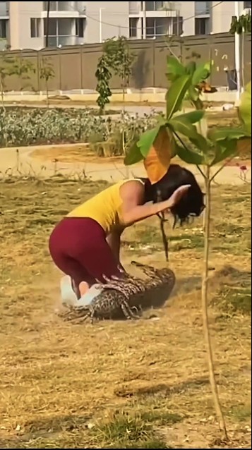 Bug Prank on Girl Goes Viral! 😂🪲 | Try Not to Laugh Challenge - YouTube