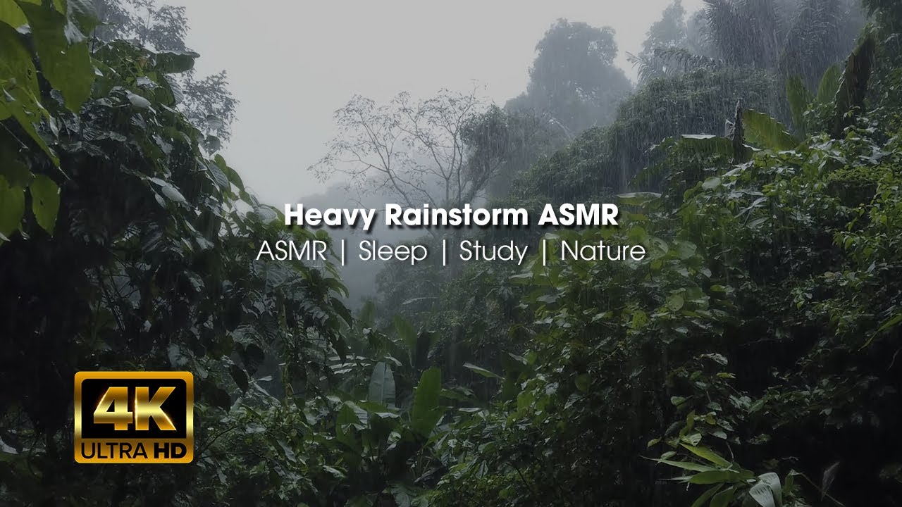 ⛈️ Heavy Rainstorm in the Tropical Jungle | Powerful Rain & Thunder ...