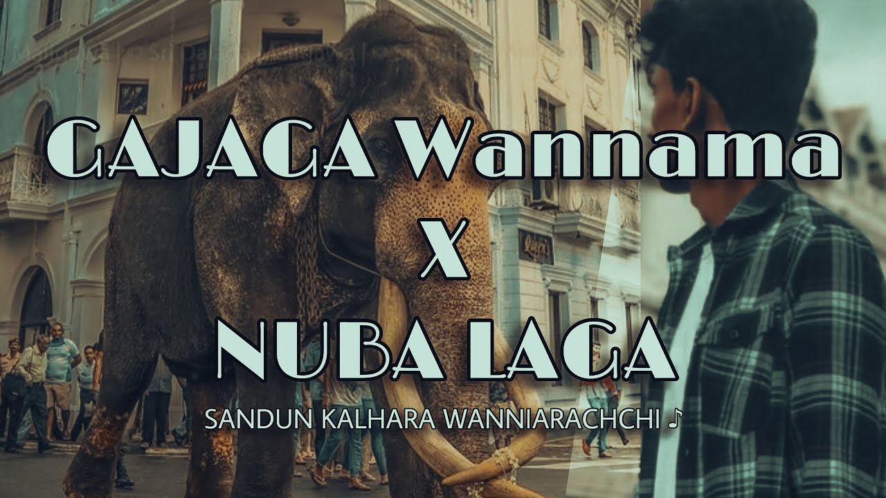 Gajaga Wannama X Nuba Laga - Sandun Kalhara Wanniarachchi Ft ...