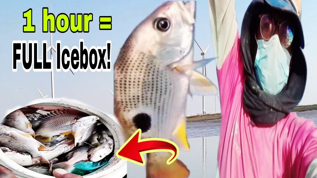 1 Hour me Full Icebox! | Karachi me Heera Machli ka SECRET Place ...