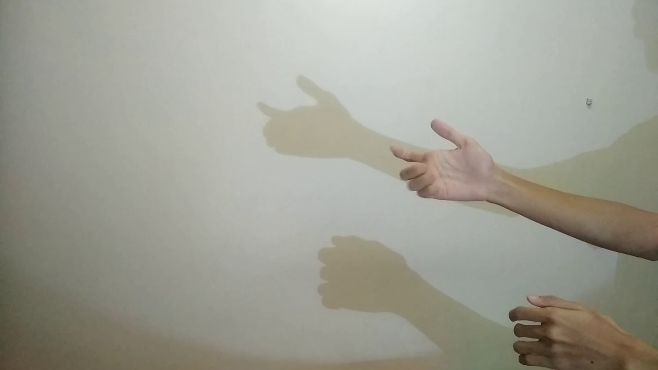 Bayangan Tangan Sapi - Hand Shadow Cow - YouTube
