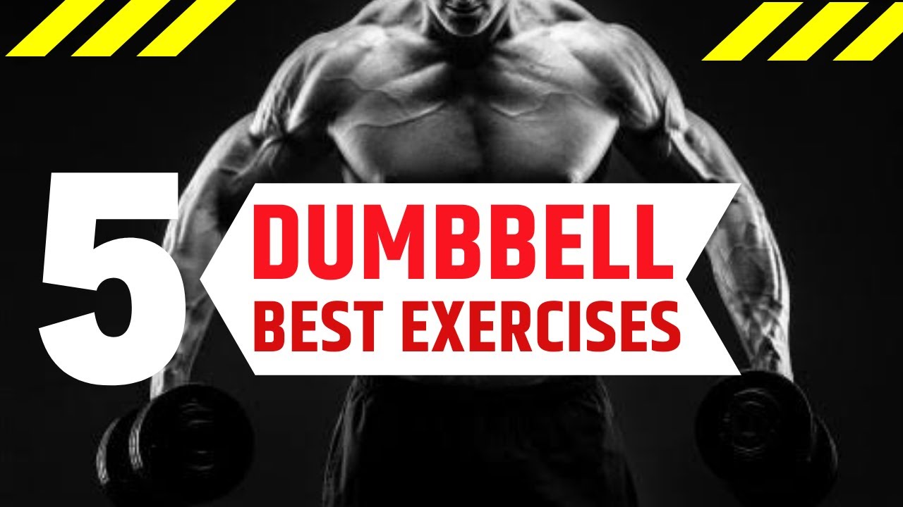 5 Best Dumbbell Exercises / Upper Body - YouTube