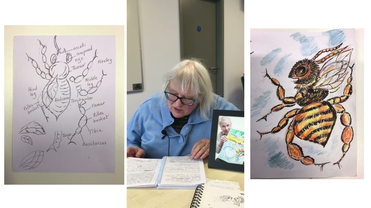 Illustrator Joy Rutherford introduces the origins of Bold Beasts ...