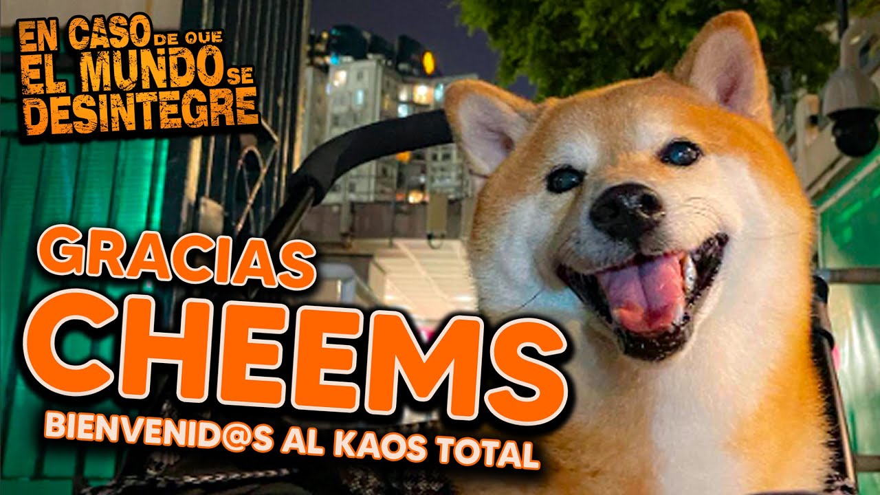 Gracias Cheems - YouTube