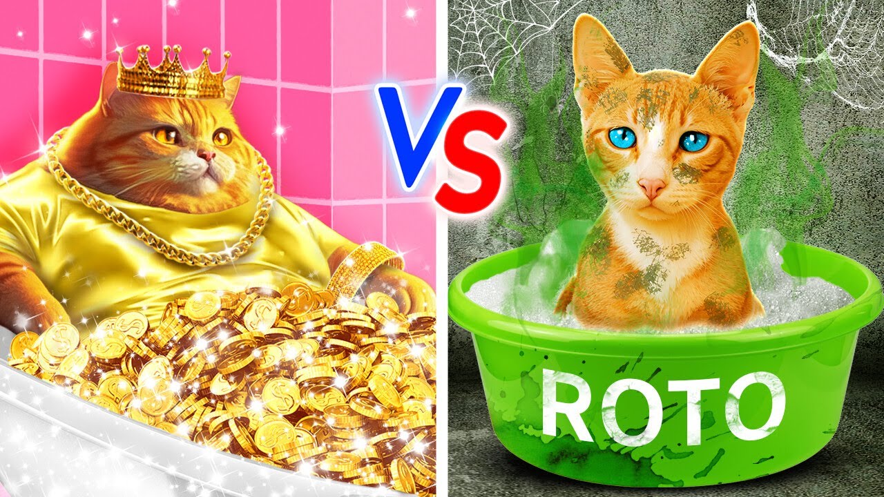 ¡Gatito Pobre vs Gato Rico! *No llores, lindo gatito* Construí una casa ...
