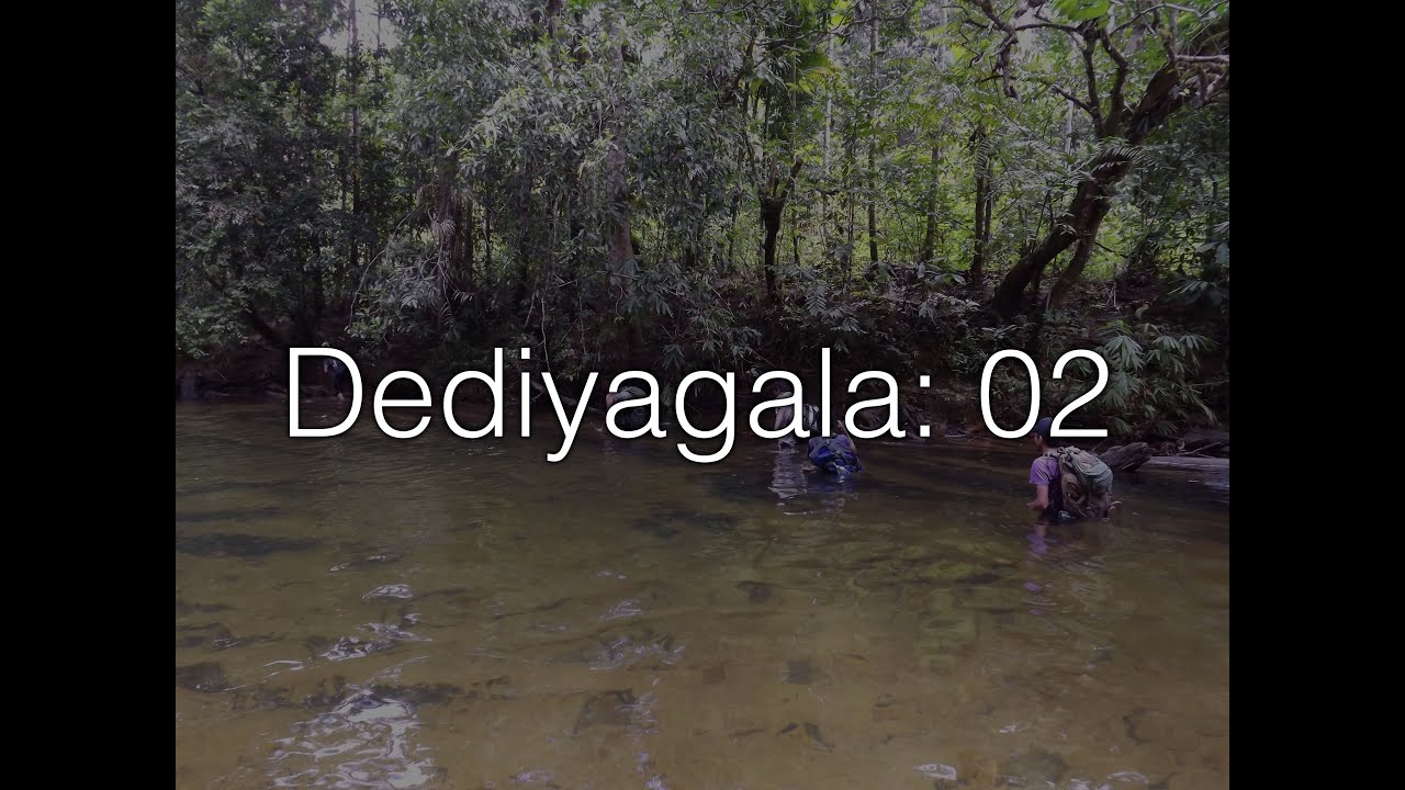 Dediyagala Forest Reserve - Documentary 02 - YouTube
