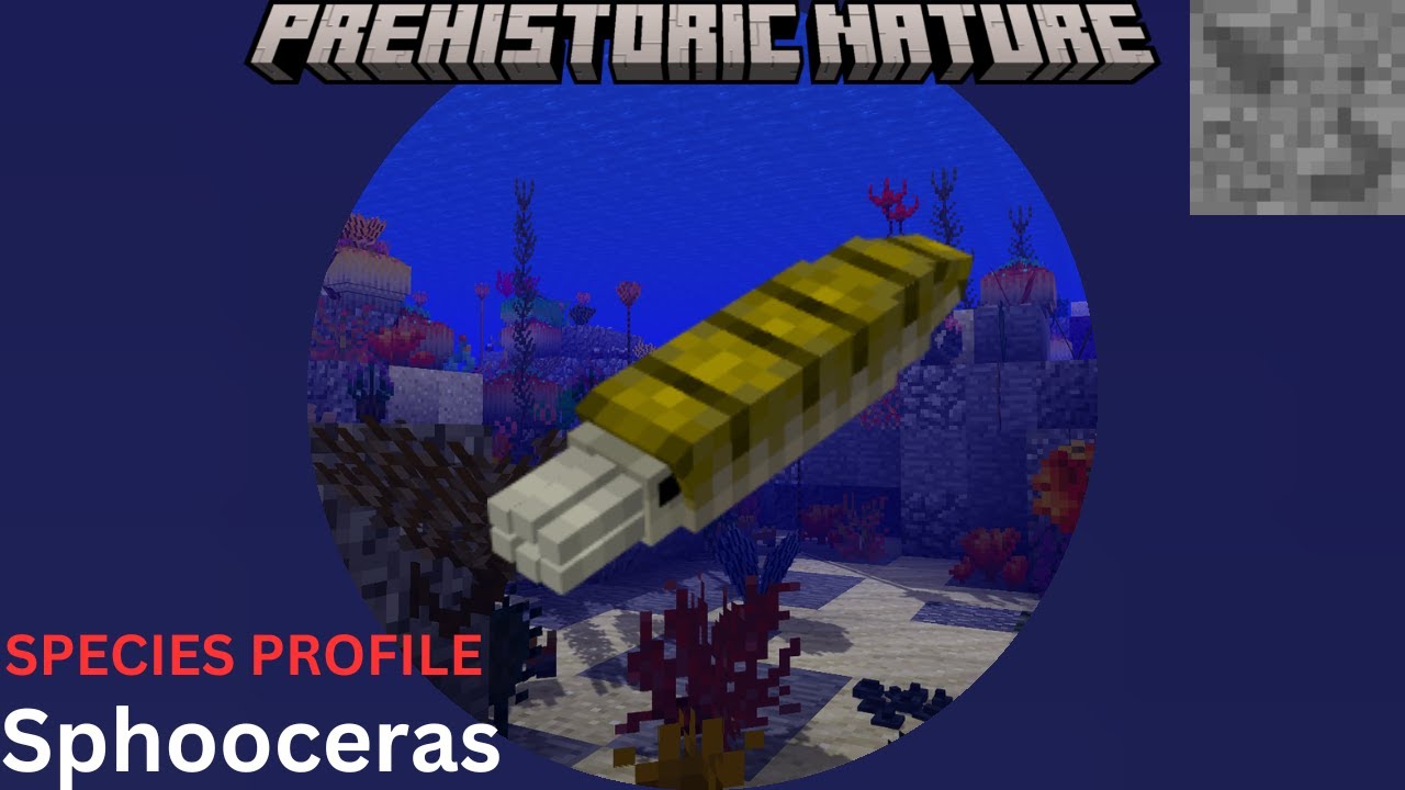 Prehistoric nature - Sphooceras species profile - YouTube