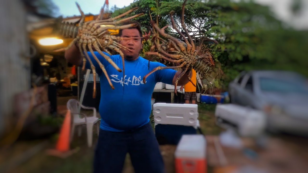 The Pågo Bay Beach Bad Boys Strikes Again Night Dive Lobsters and ...