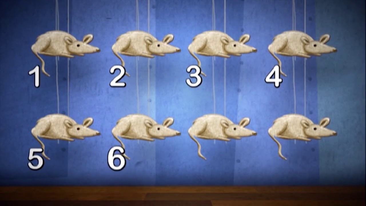 Number Time Ep 16 - YouTube