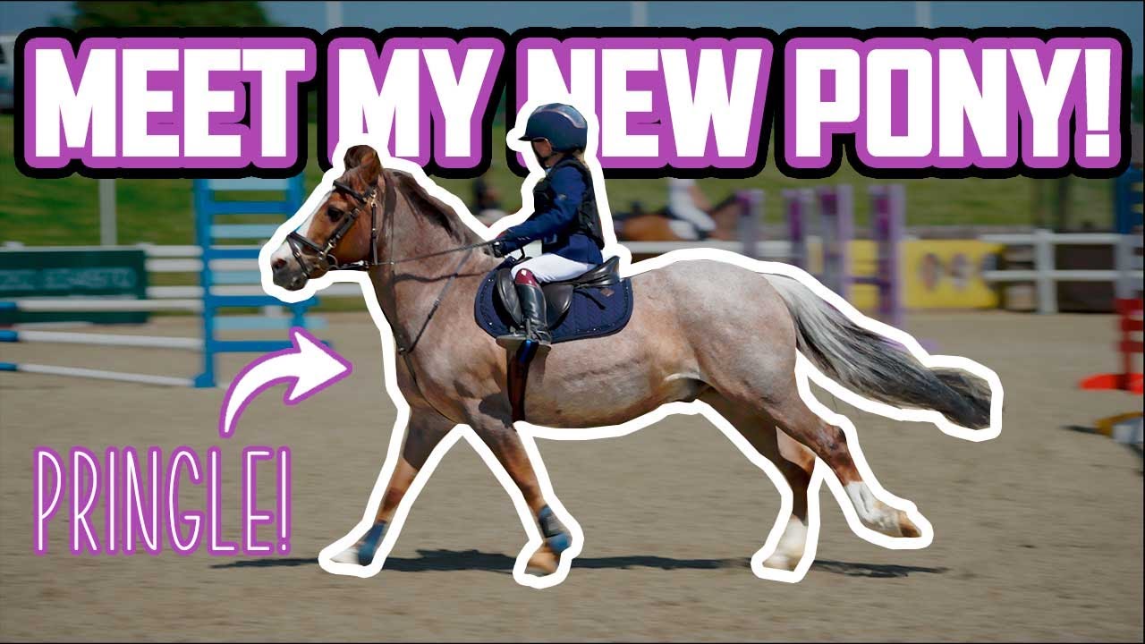 MEET MY NEW PONY | FIRST SHOW TOGETHER AWAY IN WALES - YouTube