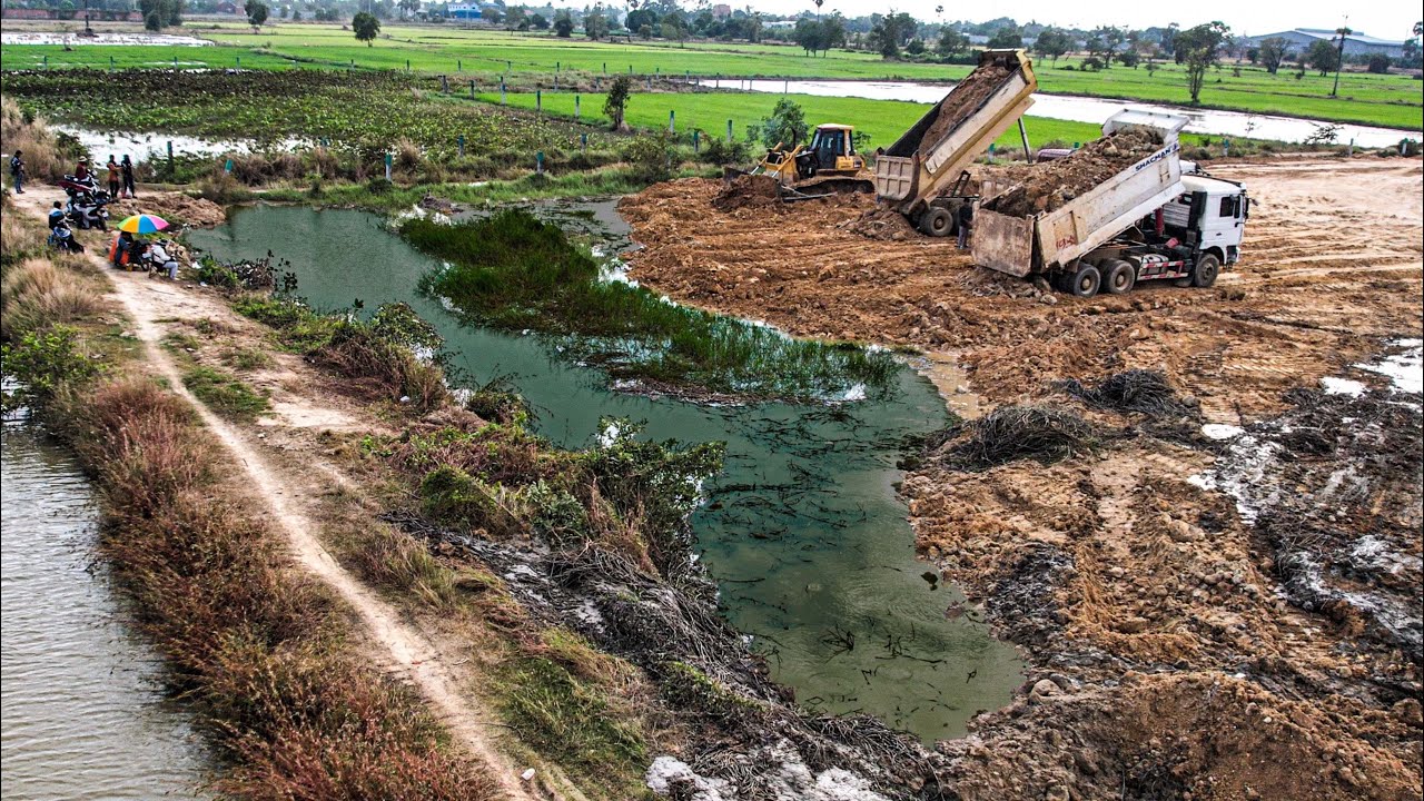 INCREDIBLE!! complete soon landfill on the mud using by bulldozer push ...