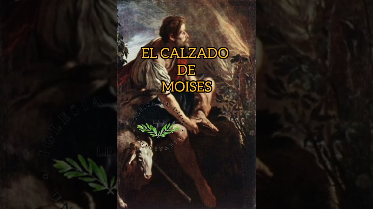 EL CALZADO DE MOISES - YouTube