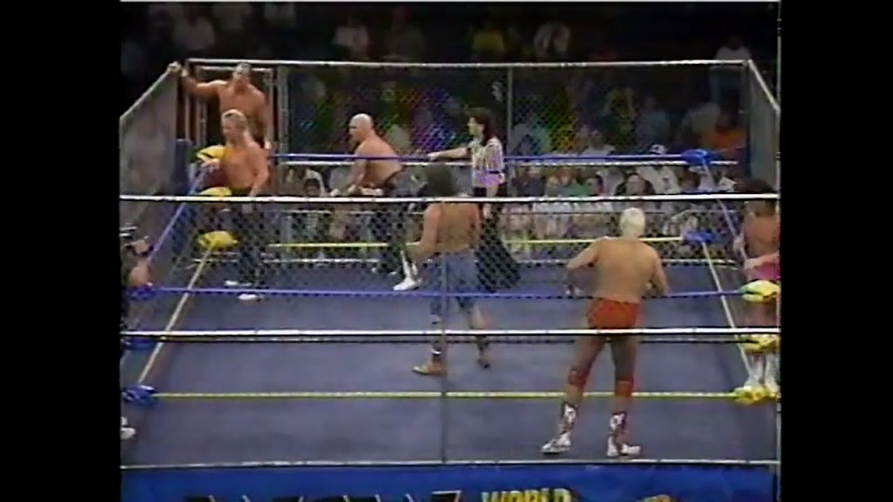 Cage Dustin Rhodes, Tom Zenk, & Big Josh vs York Foundation Pro Nov ...