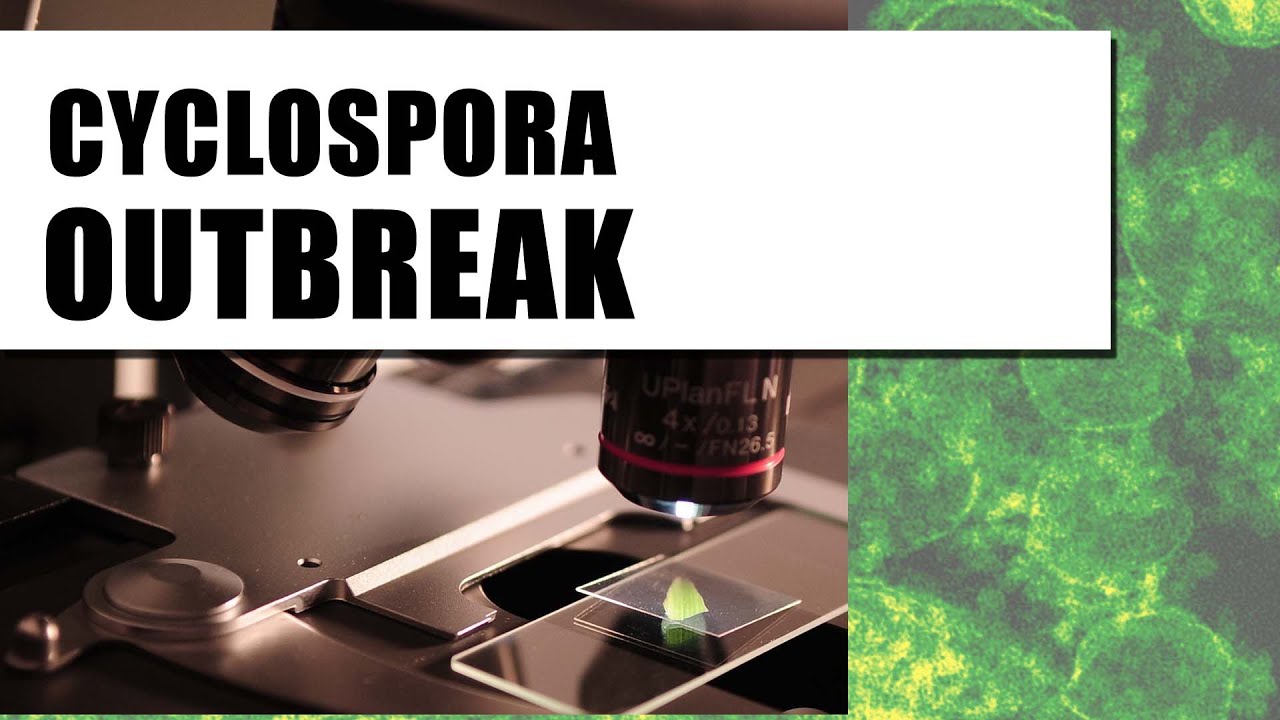 Cyclospora cayetanensis Outbreak Explained in 60 Seconds. [ Detailed ...