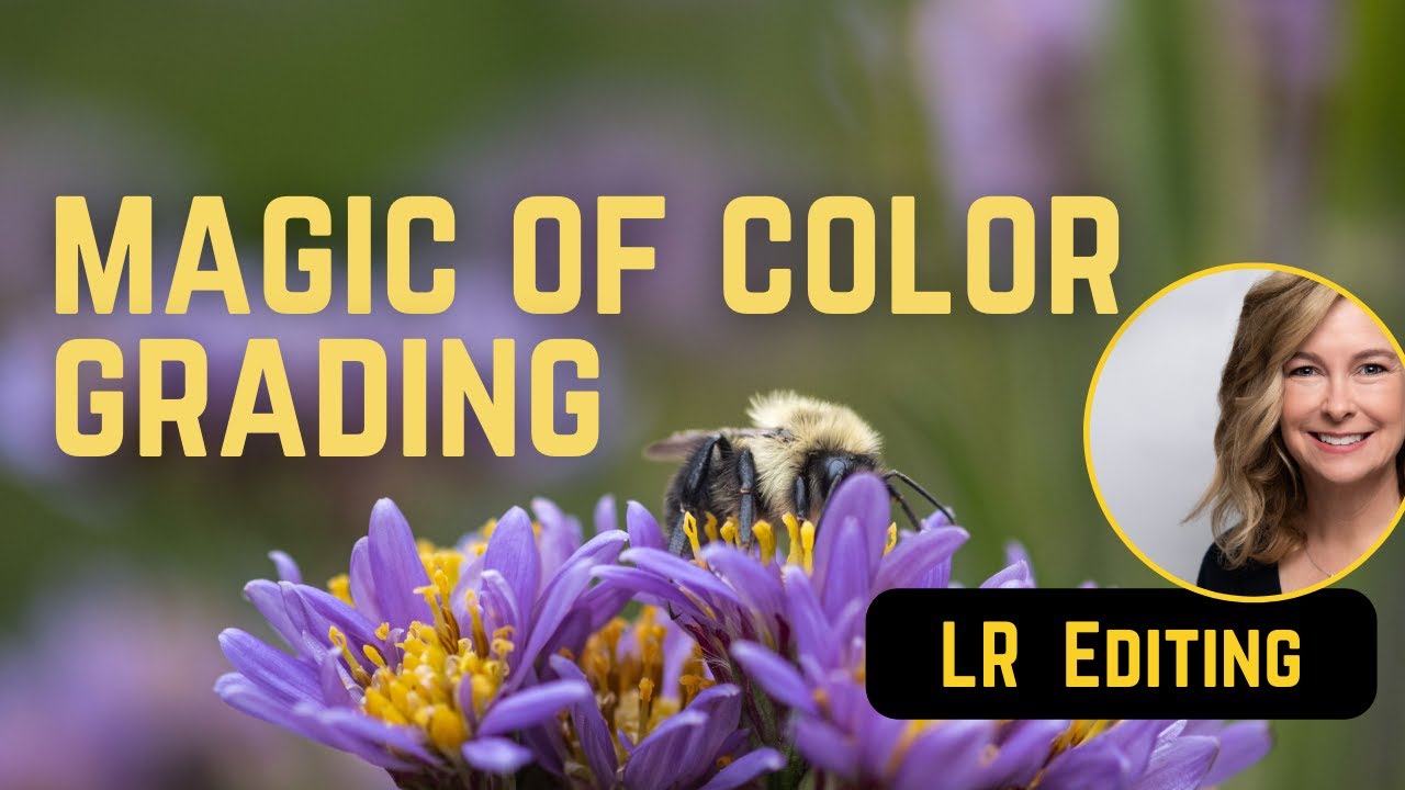 Magic of Color Grading|How to use color grading in Lightroom|Creative ...