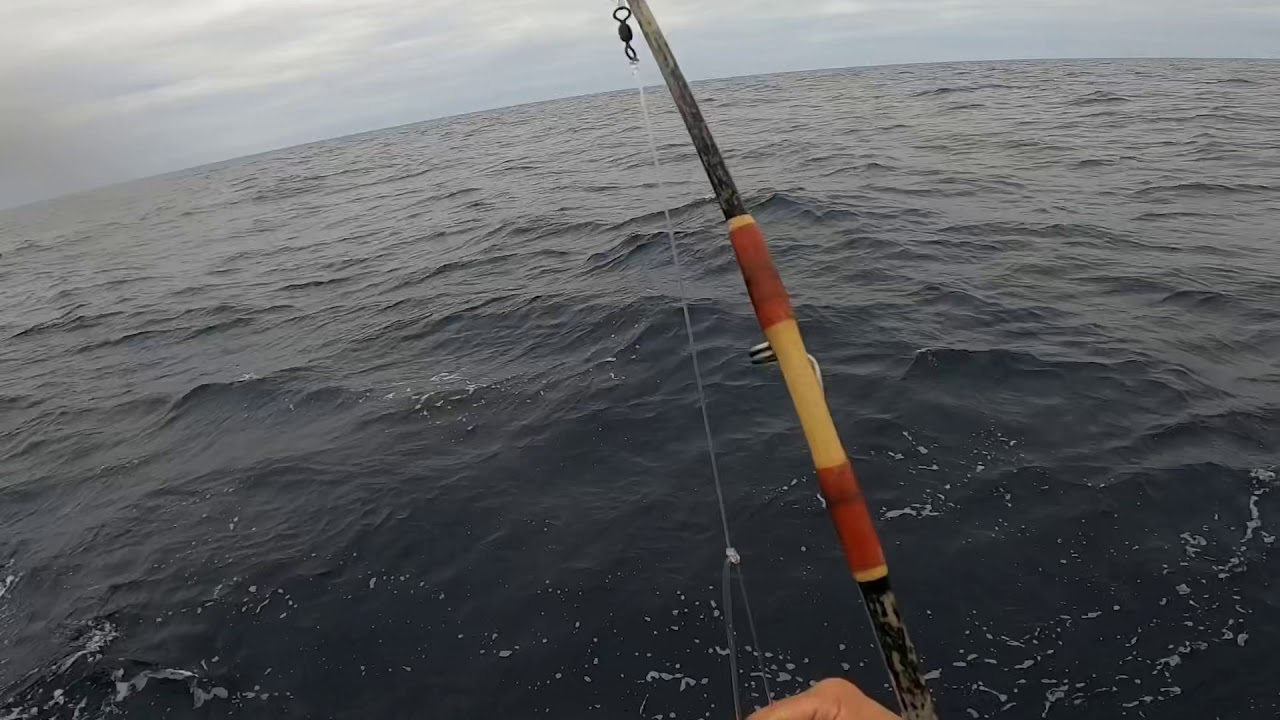 Port Aransas and Gulf Coast fishing with Dolphin Docks - YouTube