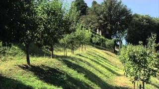 Florence's Bardini Garden