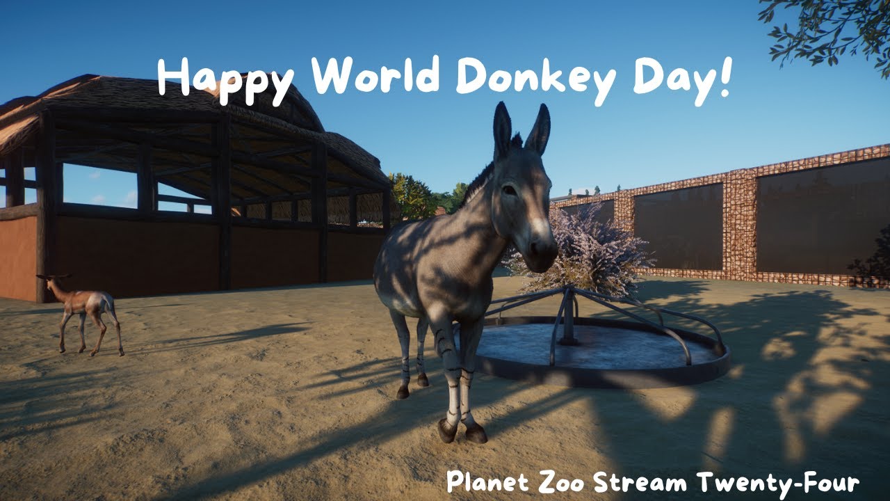 Happy World Donkey Day! - Planet Zoo Stream Twenty-Four - YouTube