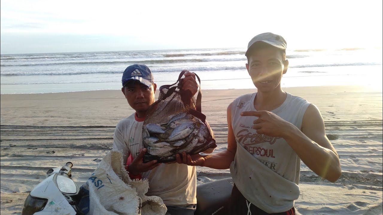 menjaring dipantai mala dapat ikan gaguk terdampar - YouTube