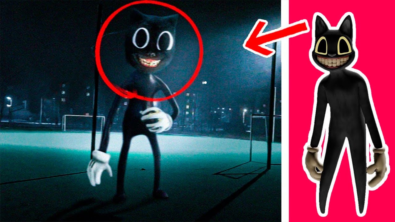 5 CARTOON CAT .EXE Captados y Vistos en la Vida Real - YouTube