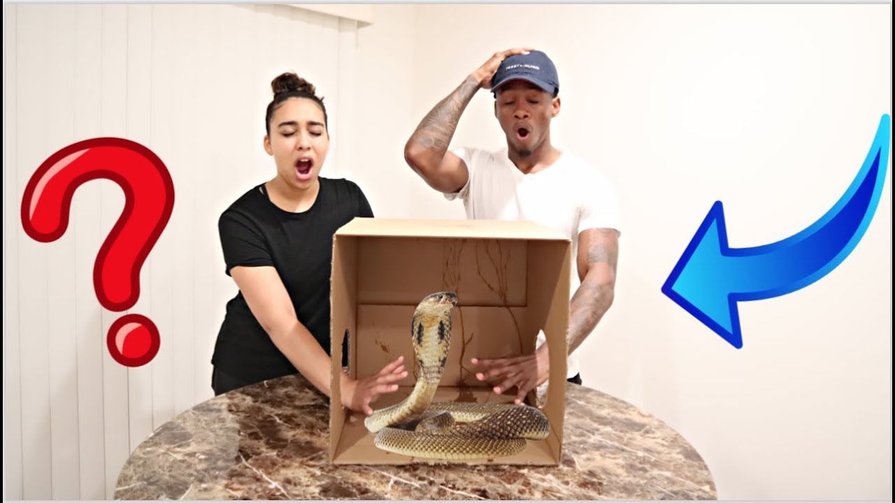 WHATS IN THE BOX CHALLENGE **LIVE ANIMALS** *craziest one yet* - YouTube