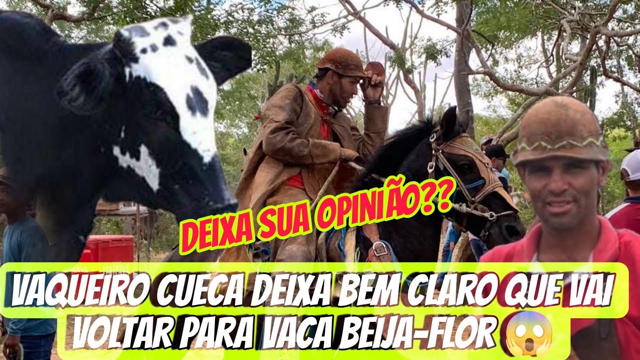 VAQUEIRO CUECA DEIXA BEM CLARO QUE SÓ VAI PARA DE CORRER A VACA BEIJA ...