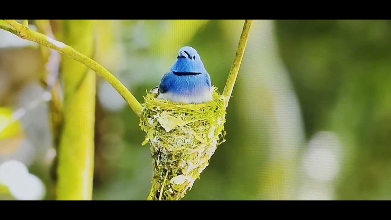Daily Reflection on 08-08-2025 - YouTube