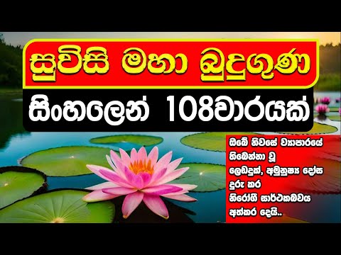 සියලු දෝස දුරුවෙන්න මුළු ගෙදරටම ව්‍යාපාර ට ඇහෙන්න දාන්න.. @BUDUGUNA9   #buduguna #budubana