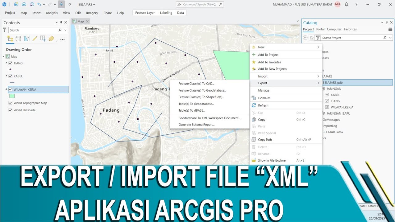 Export & Import File XML || ArcGIS Pro || - YouTube