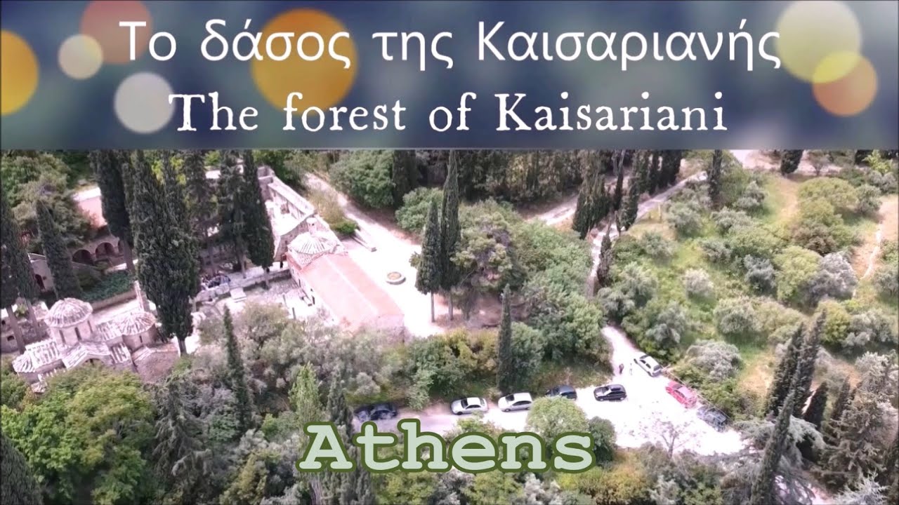 A visit to the forest of Kaisariani (drone views) - Μια βόλτα στο δάσος ...