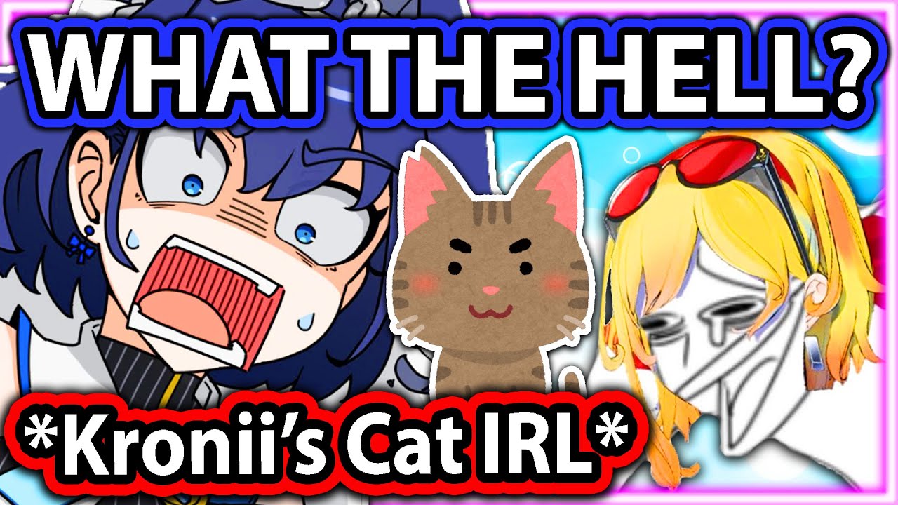 Kronii's Cat Surprised Kronii IRL and Made Kaela Laugh 【Hololive】 - YouTube