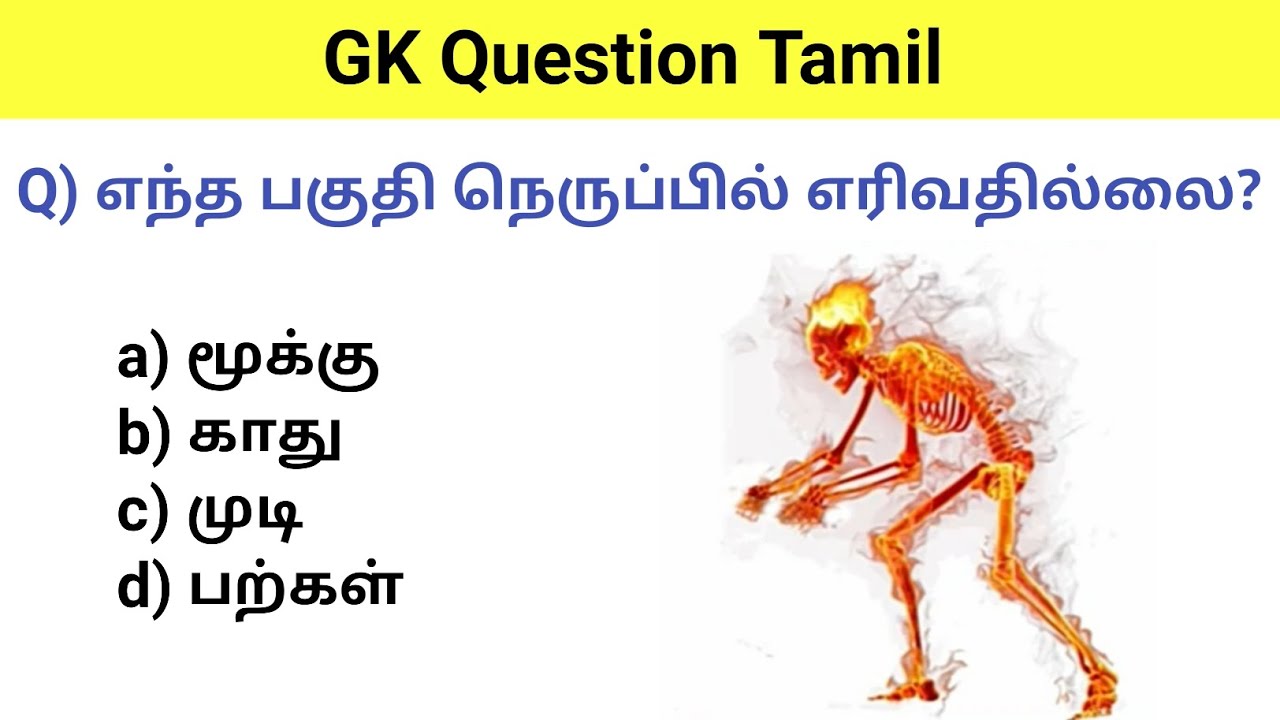 interesting questions in tamil | gk questions and answers in tamil | gk ...