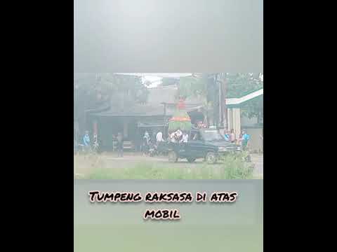Arak-Arakan sedekah bumi desa lohbener!! ADA WARIA #sedekahbumi #lohbener #indramayu #viralvideo