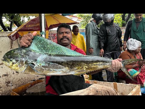 PARALA FISH 😋||KASIMEDU SPEED SELVAM ⚔️⚡||KASIMEDU FISH MARKET 🏖️🌊 ...