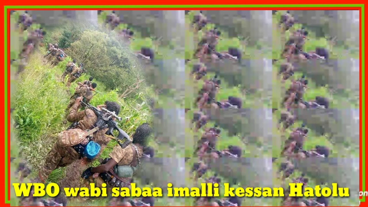 Walalo WBO Milkin Gali WBO Wabi Saba Oromo (16 August 2022) - YouTube